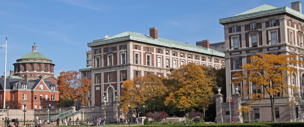 NYU: Acceptance Rate, Rankings, Fees, and Top Courses