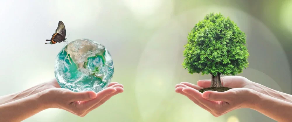 Sustainability on a Shoestring: Six Ways Students Can Save the Planet